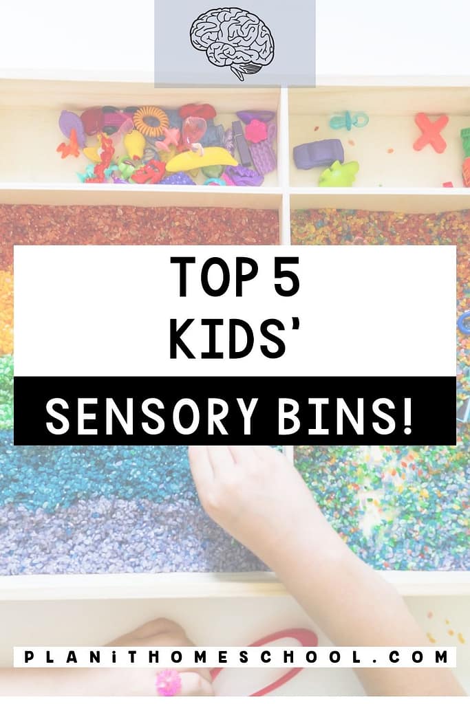 5 Easy Sensory Bin Ideas You Need to Try! | PlanItHomeschool