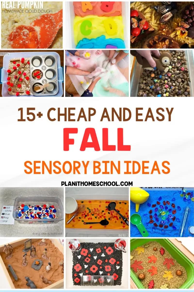 15+ Cheap and Easy Ideas for Fall Sensory Bins | PlanItHomeschool