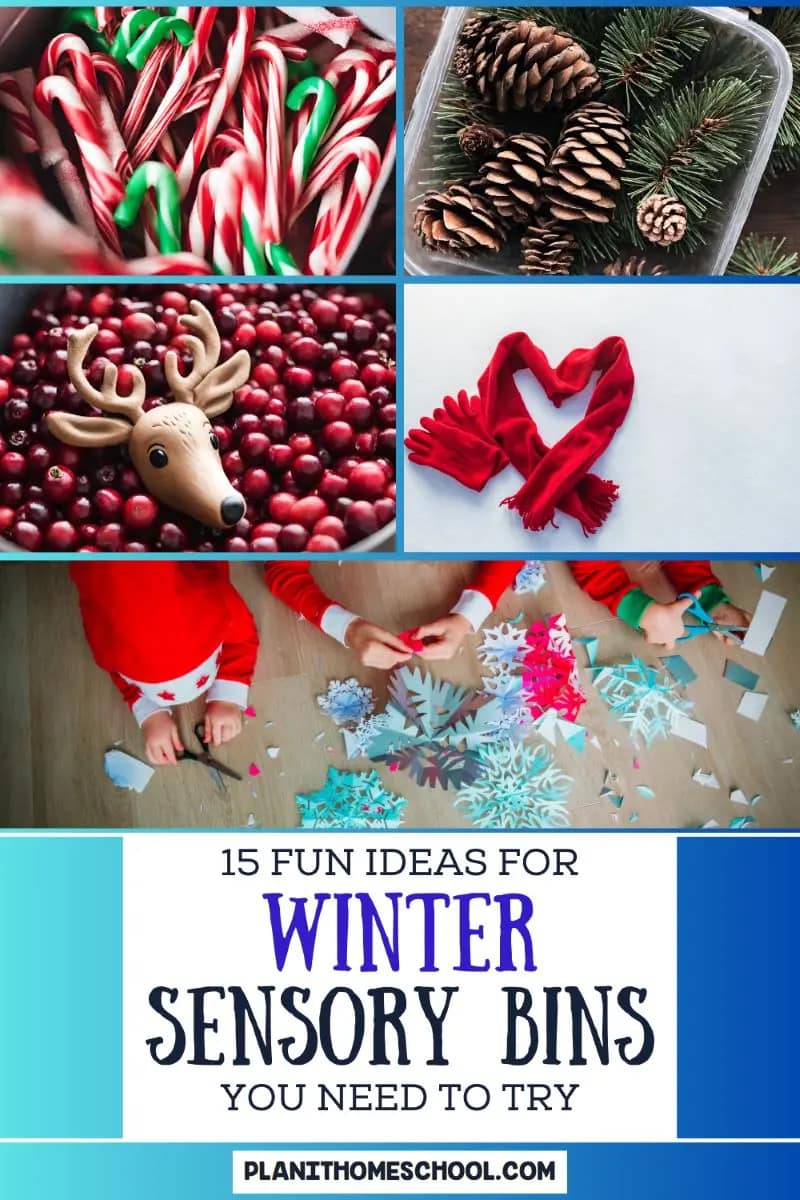 15 Winter Sensory Bin Ideas With How-To Videos! | PlanItHomeschool